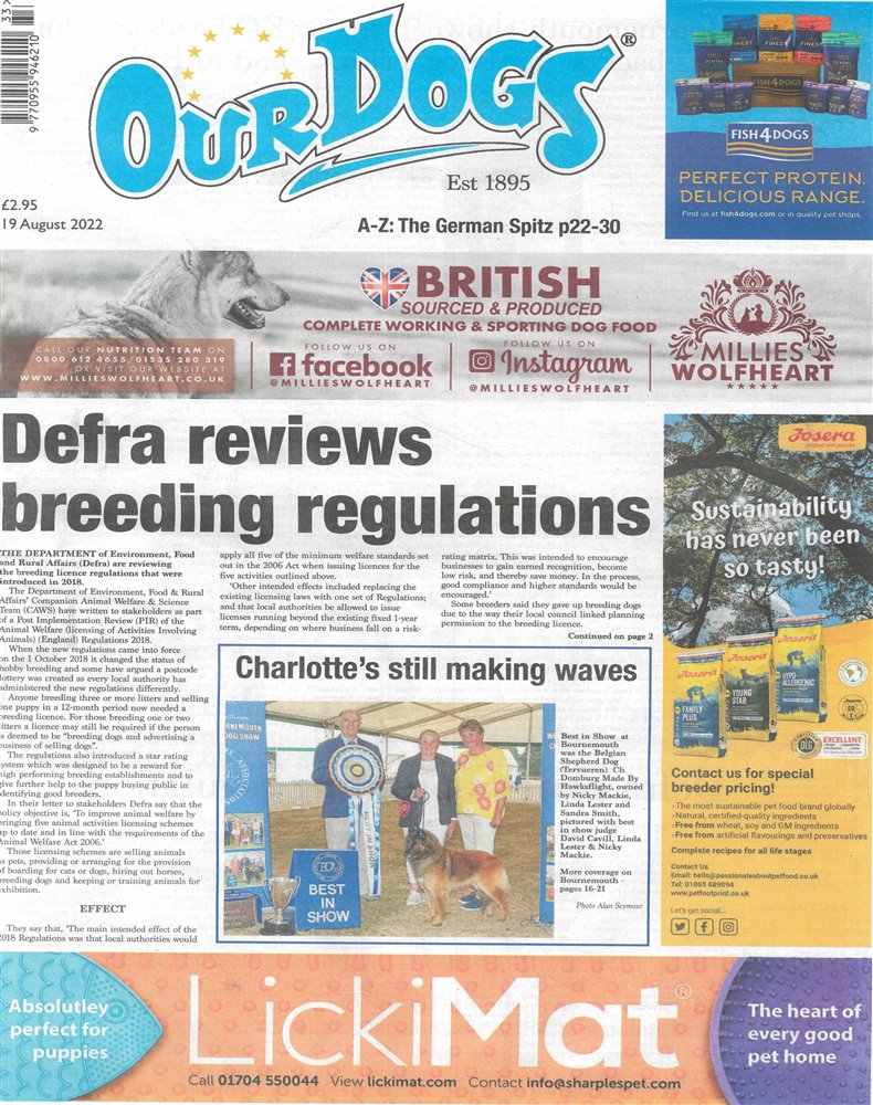 Our Dogs Magazine Subscription