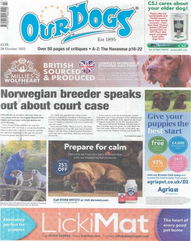 Our Dogs Magazine Subscription