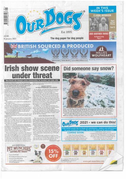 Our Dogs Magazine Subscription