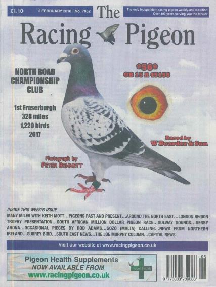 Racing Pigeon Magazine Subscription