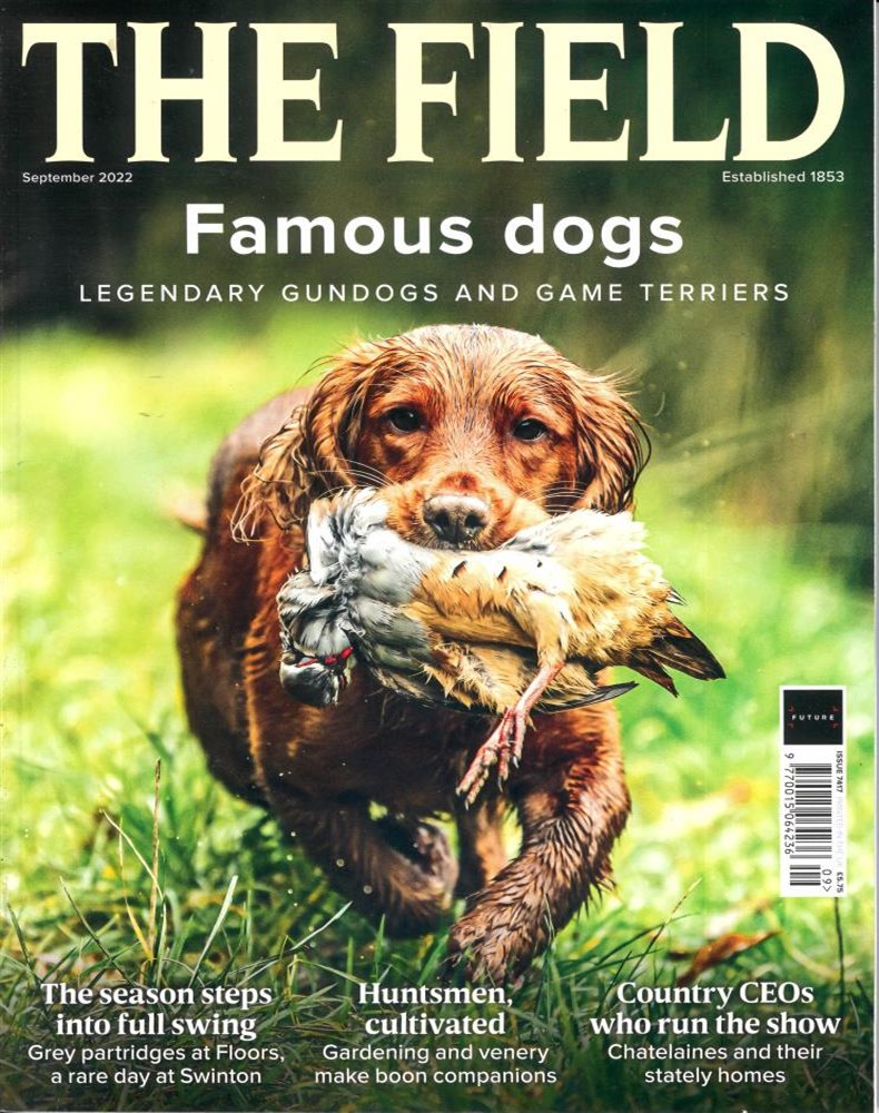 The Field Magazine Subscription