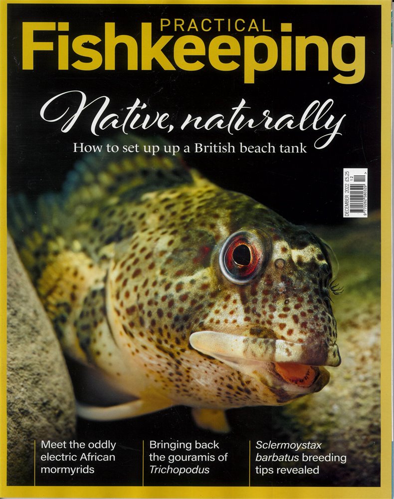 Practical Fishkeeping Magazine Subscription