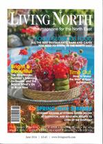 Living North Magazine Subscription